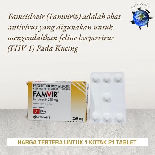 Jual Famvir 250mg Famciclovir Anti Virus Kucing FHV 1 Kotak isi 21 ...