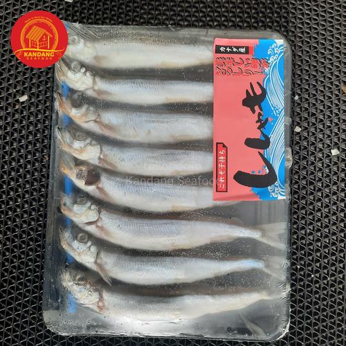 Jual Ikan Shisamo / Shisamo Fish / Ikan Capelin Per Pack - Jakarta ...