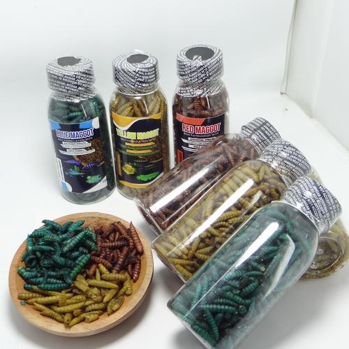 Jual Kemasan botol Maggot BLUE/YELLOW/RED - Merah - Kab. Tulungagung ...