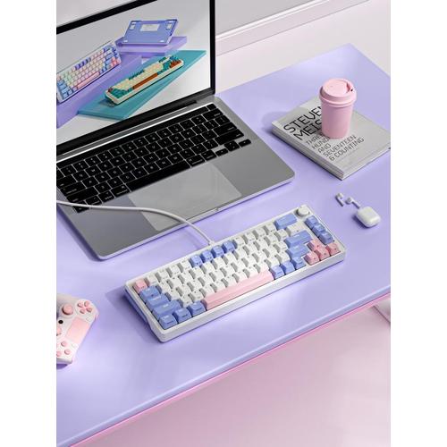 Jual Zifriend ZA68 Mechanical Keyboard 68 Keys RGB Wired - Hyacinth ...