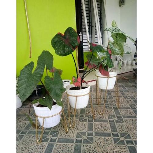 Jual Standing vas besi/standing pot/tempat vas/tempat bunga - 20 cm ...