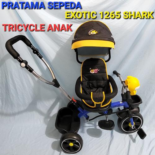 Jual Sepeda Roda Tiga Dorong Anak Anak Tricycle Exotic ET-1265 Shark ...