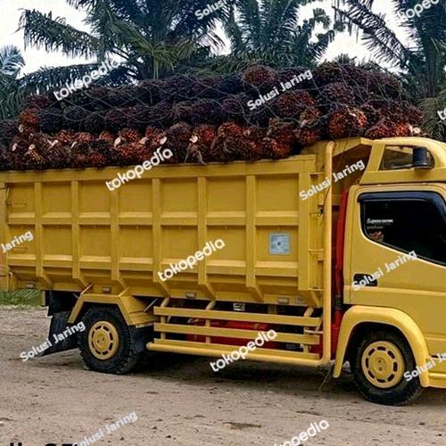 Jual Jaring tutup truk kelapa sawit bahan PE tambang 4 Mili - 6m x 8m ...
