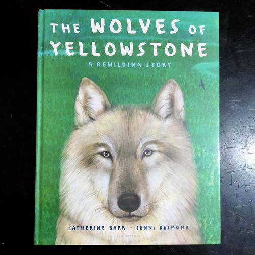 Jual The Wolves of Yellowstone - Catherine Barr & Jenni Desmond Book ...