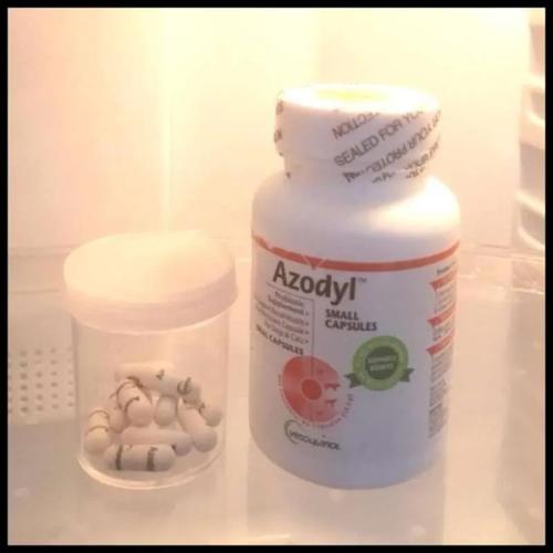 Jual AZODYL Probiotik Ginjal Kucing dan Anjing (90 KAPSUL) - Jakarta ...