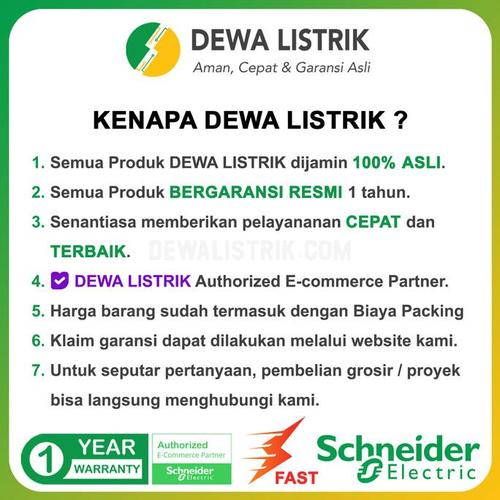 Jual Schneider Nsx250H 70Ka Ac 4P4D 250A 4.2 (C25H44V250) - Jakarta ...