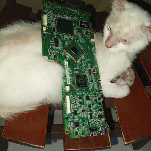 Jual motherboard notebook axioo pico djj normal tested. wajib video ...