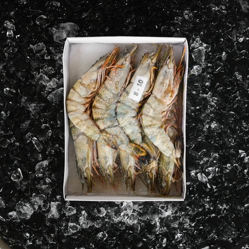 Jual Udang Black Tiger Jumbo / Udang Tiger Prawn Jumbo Premium 1 kg ...