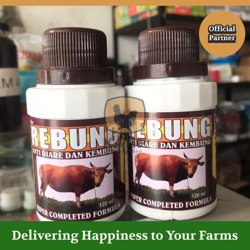 Jual Rebung Sapi 120 ml Obat Kembung Pencernaan Hewan Kerbau Kambing ...