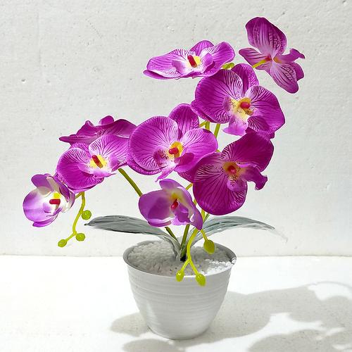 Promo Bunga Anggrek Artificial Buatan dan Pot Meja Hiasan Dekorasi ...