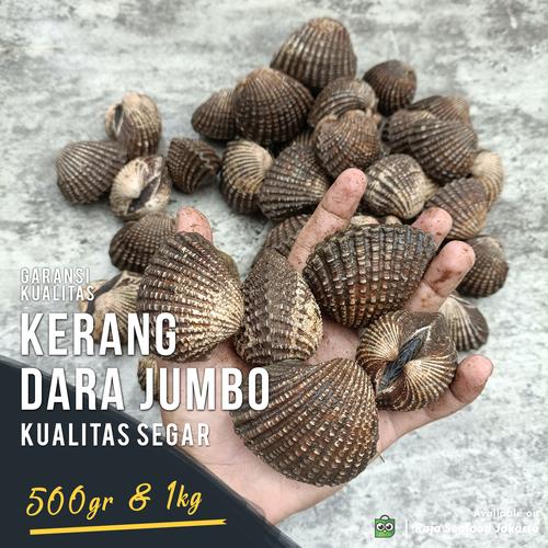 Jual Kerang Dara FRESH Jumbo 1kg / Kerang Darah Besar Seafood - 500gr ...