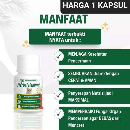 Jual Obat Diare Kucing Herbal Healing Dewarangga Vitamin Mencret Kucing ...