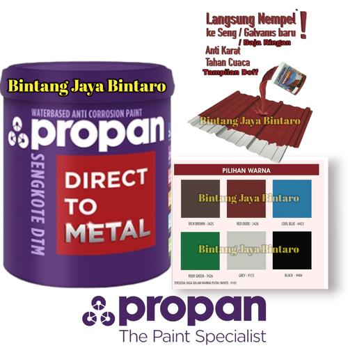 Jual Propan Sengkote Cat Seng Galvanis Besi SK-950 Anti Karat Water ...