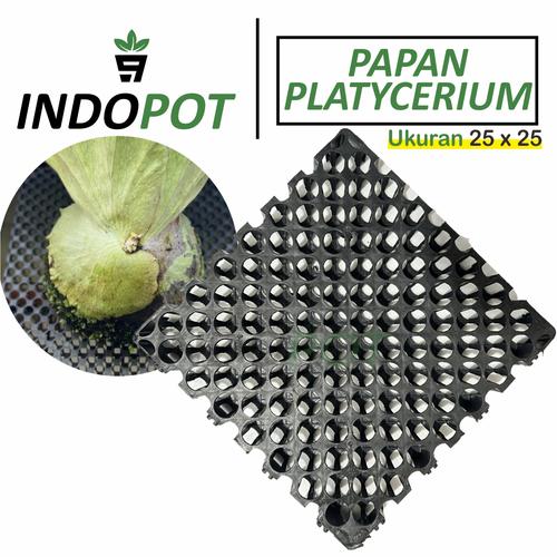 Jual Papan Platycerium Ukuran 25 x 25 Alas Rumput Sintetis - Kota Batu ...