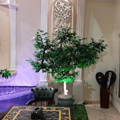 Jual Tanaman Hias Artifical Besar 3 Meter Dekorasi Daun Pelastik ...