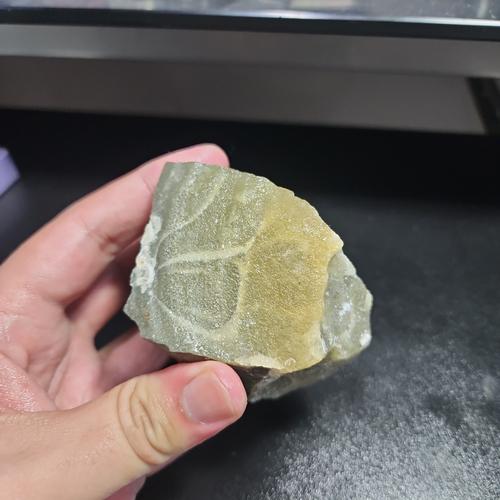 Jual Batu fossil kristal m. gajah putih asli - Kab. Tangerang ...