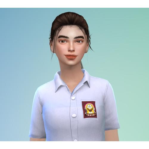 Jual The Sims 4 - DVD CD - Tanpa Updater, Sleeve Plastik - Jakarta ...