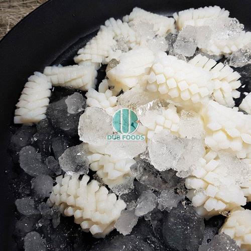 Jual Squid Flower Frozen / Cumi Cumi / Sotong / Gurita / Segar Beku ...