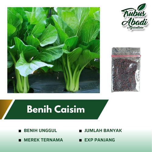 Jual Benih Bibit Sawi Caisim Manis Cap Panah Merah Repack - Benih ...