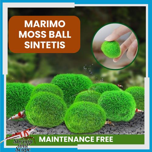 Jual Marimo Moss Ball Sintetis Tanaman Bola Moss Sintetis Hiasan Aquarium - S - Jakarta Utara ...