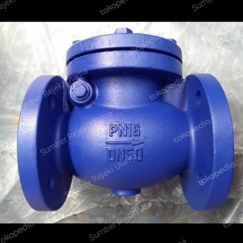 Jual Swing Check Valve CI PN16 ( Swing Check PN16 Cast Iron Flange ...