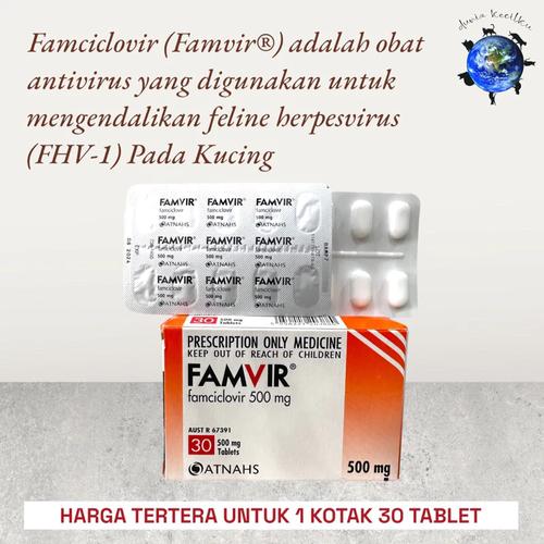 Jual Famvir Famciclovir 500mg Obat Anti Virus FHV Kucing 1 Kotak 30 ...