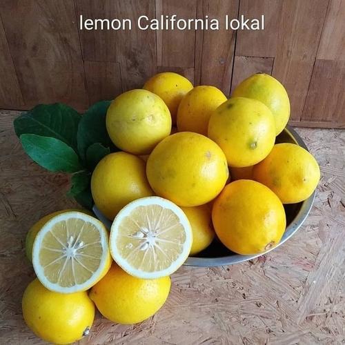 Jual Buah Segar Lemon Lokal California Kuning Grade A 250 gr - 1 kg ...