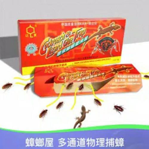 Jual Lem Cicak Lem Kecoak Umpan Trap Serangga Pest Control Perangkap ...