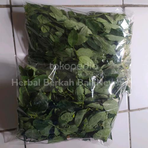Jual DAUN KAYU MANIS/DAUN KATUK SEGAR FRESH ASLI DENPASAR BALI - Kota ...