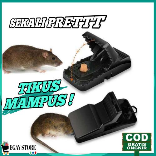 Jual Perangkap Tikus Ampuh Jebakan Mouse Trap Jepit Otomatis Pest ...