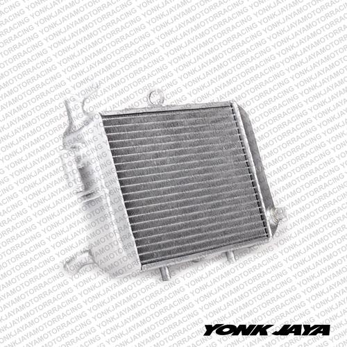 Jual RADIATOR RACING AAI COOLING EXPERT XMAX - Kota Bandung - Yonk Jaya ...