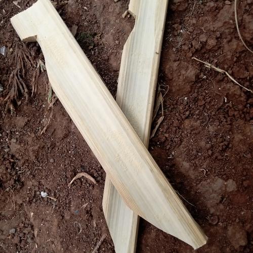 Jual Patok Tenda, Patok tali, patok bambu, dan patok proyek ukuran 20cm ...