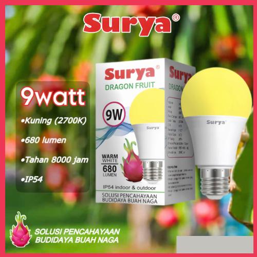 Jual Lampu LED Surya Buah Naga 9W Dragon Fruit 9 watt Kuning HEMAT ENERGI - Kab. Sidoarjo - JAYA ...