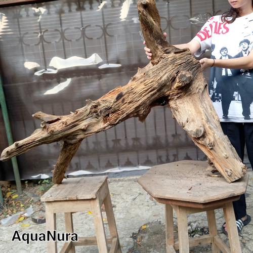 Jual kayu laut driftwood kl 3456536 aquascape aquarium - Kota Tangerang ...