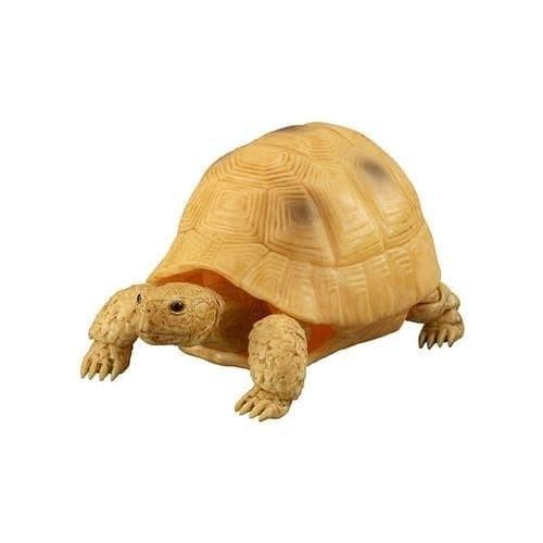 Jual Gashapon kame 02 turtle kura - gachapon gacha tortoise figure ...