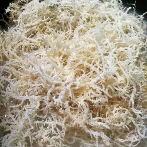 Jual rumput laut kering 1 kg - Kota Medan - ummuka | Tokopedia