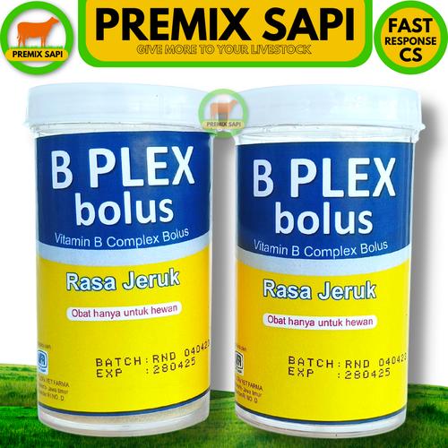 Jual USFA B PLEX BOLUS 1 POT (3 Bolus) - Vitamin B complex Hewan Bolus ...