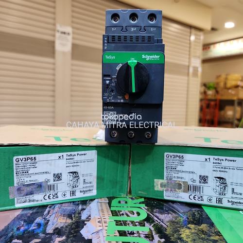 Jual MOTOR CIRCUIT BREAKER SERIES GV3P65 NEW GENERATION SCHNEIDER ...