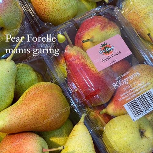 Jual Pear Forelle Afrika Manis Garing 800 grm / Pack - Jakarta Barat ...