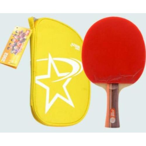 Jual BED DHS 2002 - BAT PINGPONG - BET PINGPONG DHS 2002 FREE TAS PAKET ...