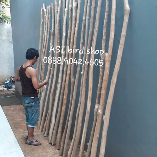 Jual KAYU KOPI BATANG LURUS PANJANG 200CM - Kab. Bekasi - AST bird shop ...