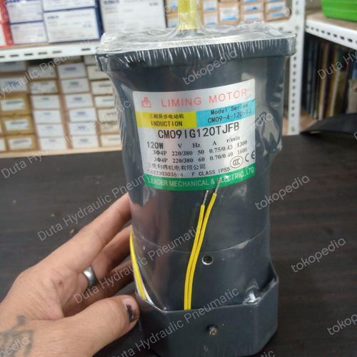 Jual LIMING MOTOR CM09 I G60TJFB 3 PHASE 60W INDUCTION MOTOR ...