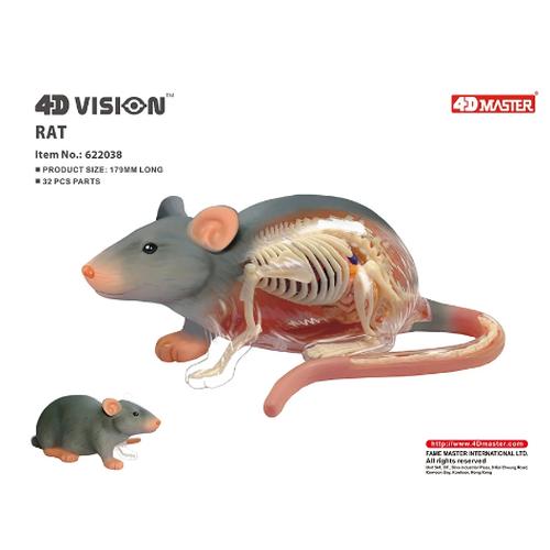 Jual Master 4D Model anatomi hewan tikus edukasi sains edukasi ...