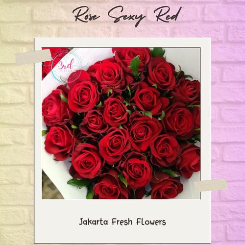 Jual Bunga Mawar Merah Semi Holland (Bunga Segar Jakarta) - Jakarta ...