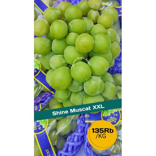 Jual ANGGUR HIJAU SHINE MUSCAT JEPANG KOREA MANIS GARING - RED GLOBE ...