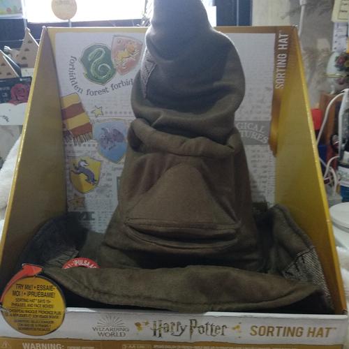 Jual Wizarding World Harry Potter Talking Sorting Hat - Original ...