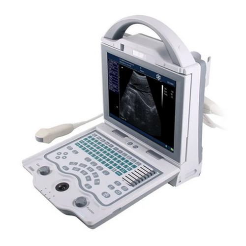 Jual C.S Ultrasound USG Dog Cat Pregnancy Testing Machine LED Screen ...