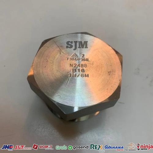 Jual Plug stainless steel 304 1 inch Class 3000 - Plug/Tutup - Jakarta ...