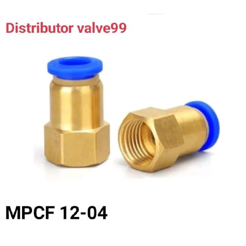 Jual MPCF 12-04 Fitting Lurus Female Slip Lock Selang 12mm Drat 1/2 ...