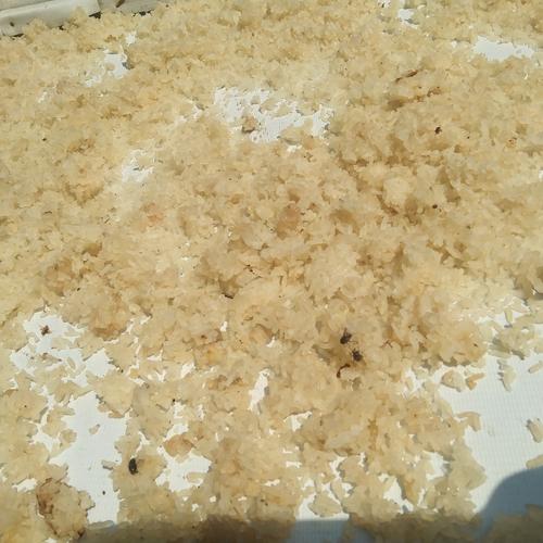 Jual nasi kering aking - Kab. Bekasi - rumah assirja | Tokopedia